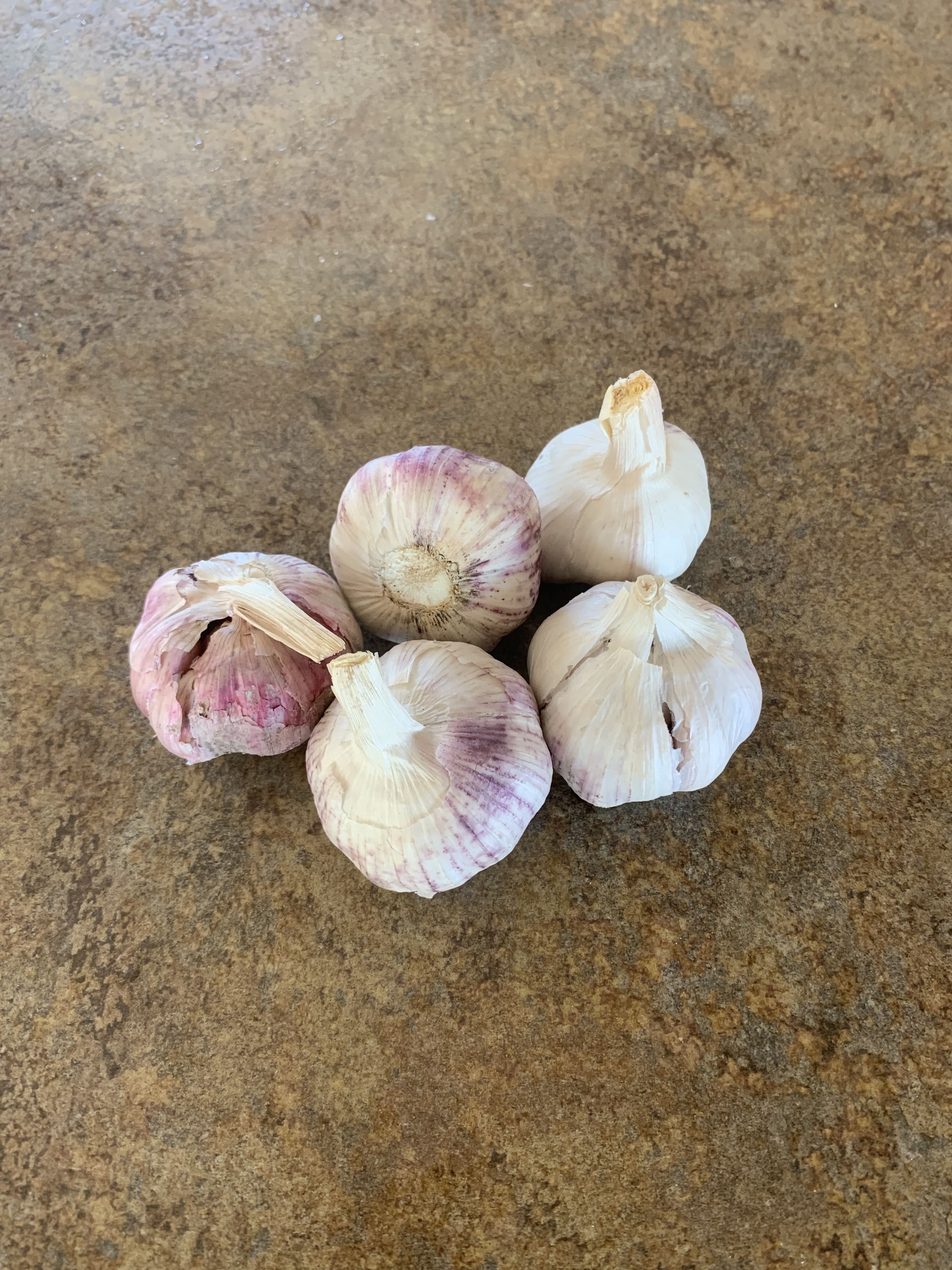 Spano Greenhouse & Farm