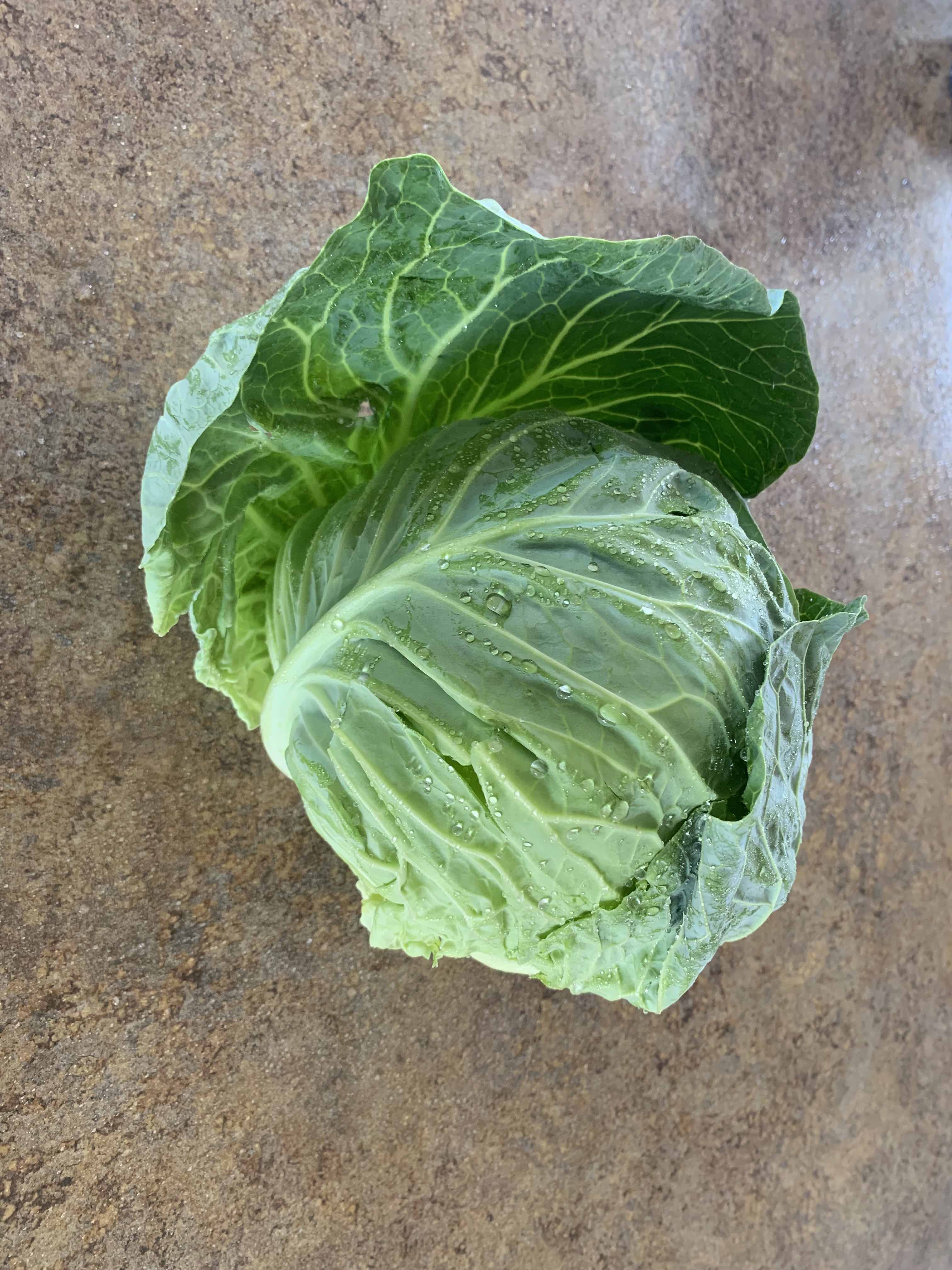 Spano Greenhouse & Farm