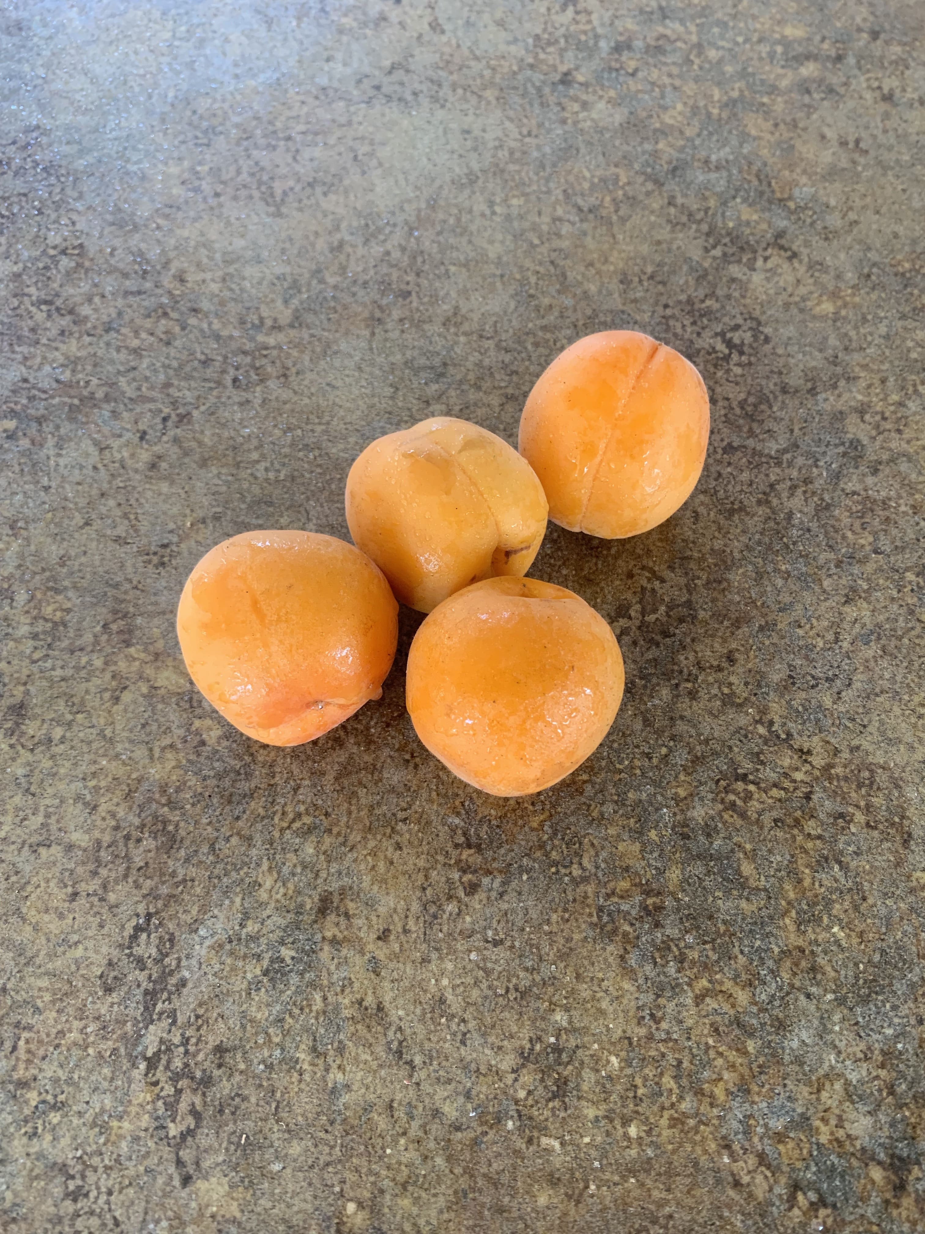 Spano Greenhouse & Farm