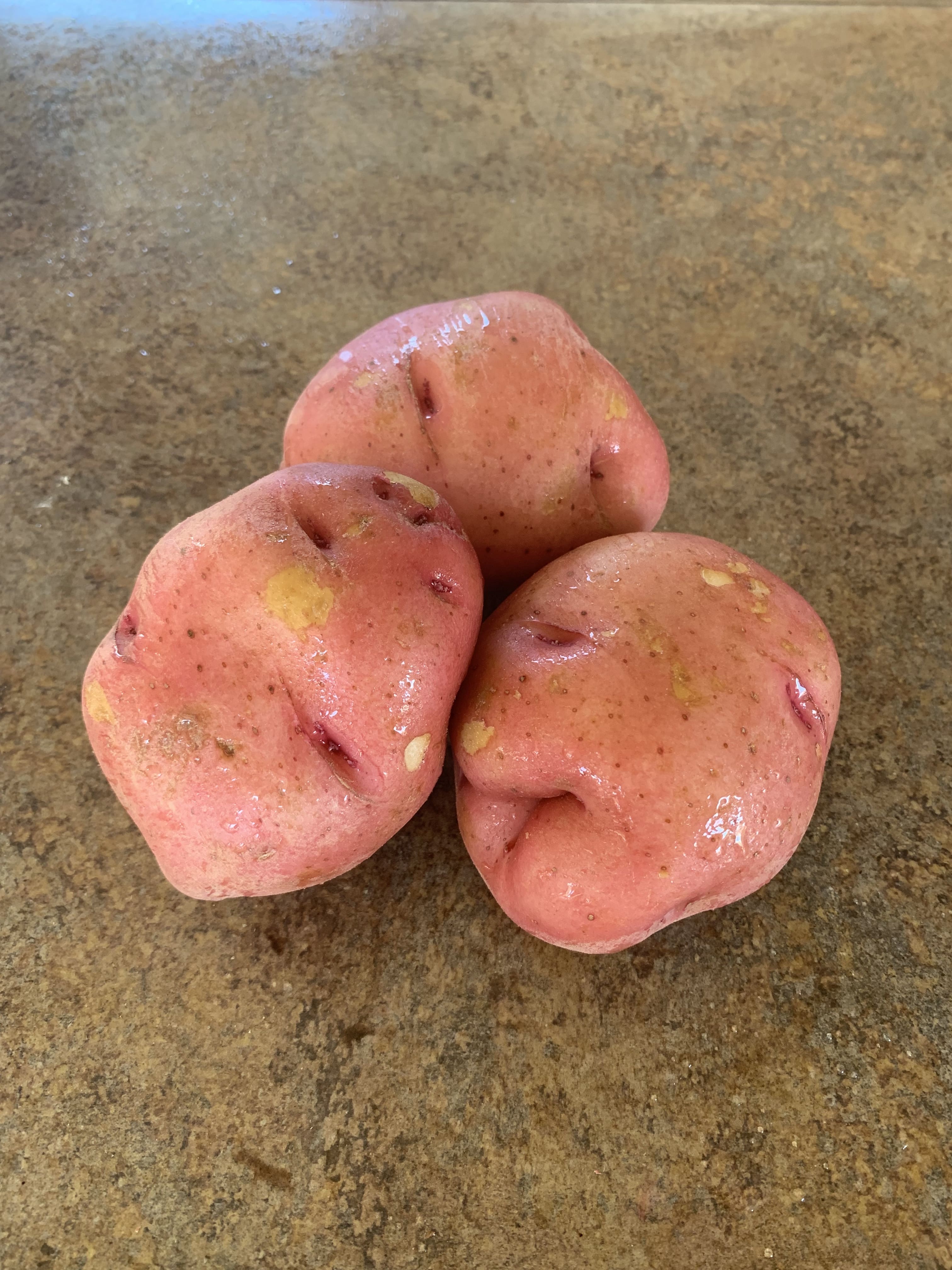 Spano Greenhouse & Farm