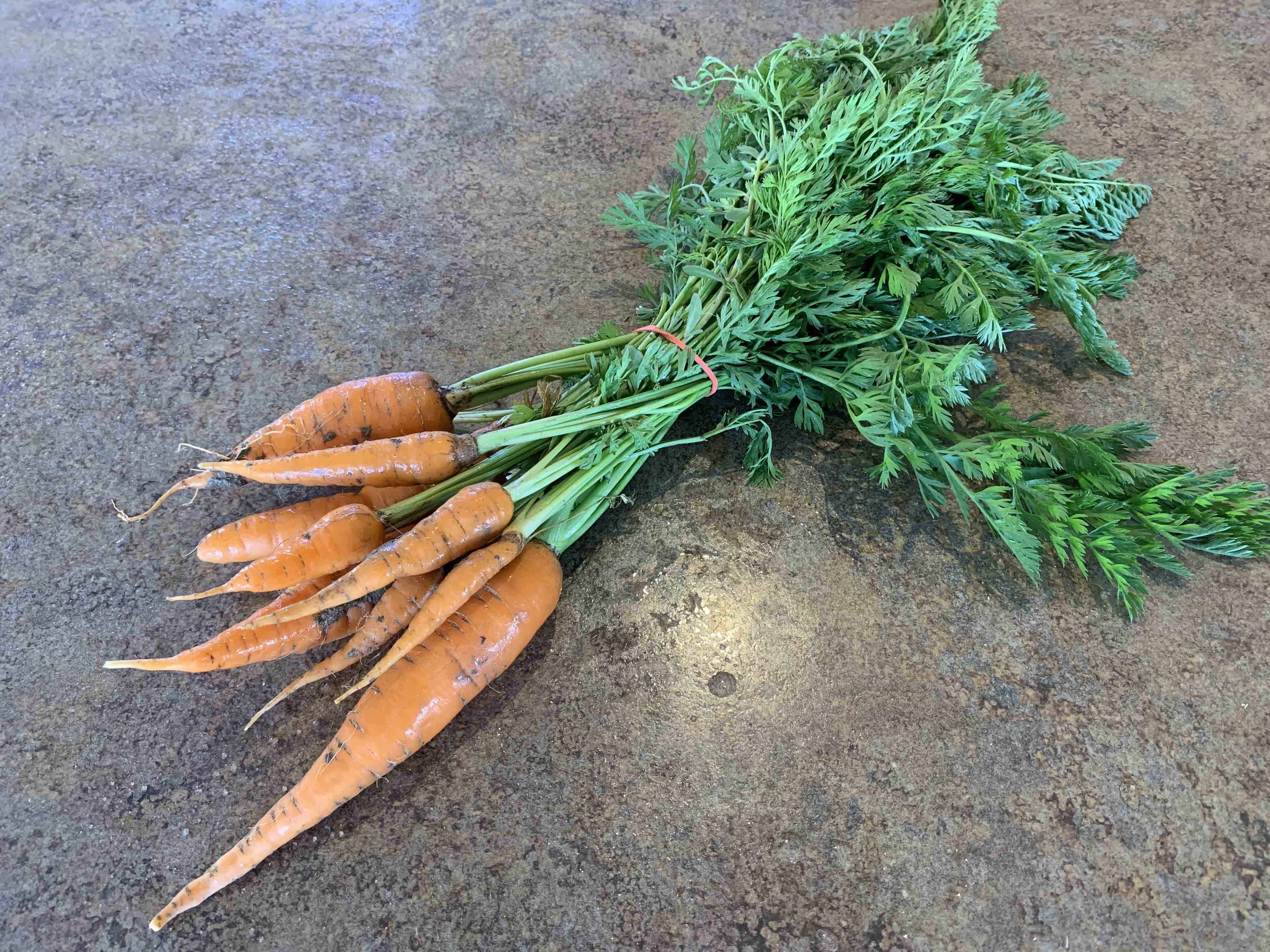 Spano Greenhouse & Farm