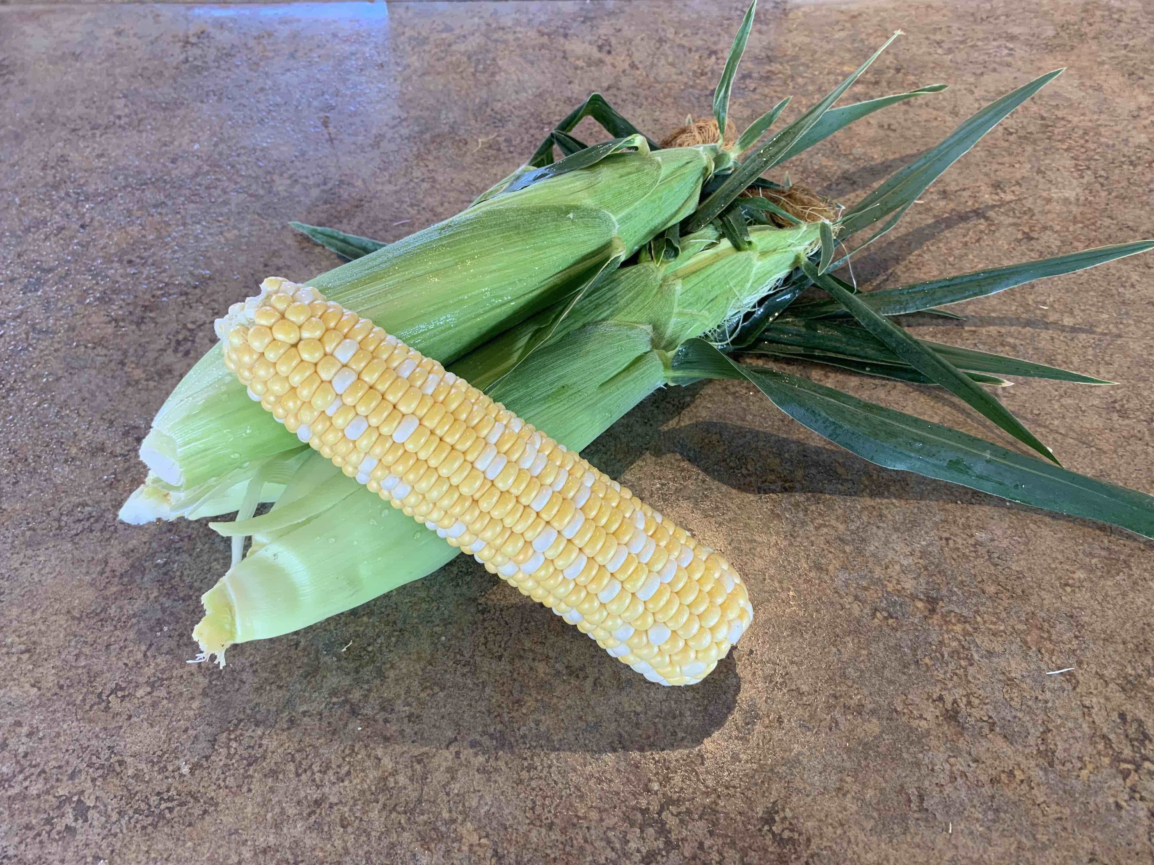 Spano Greenhouse & Farm