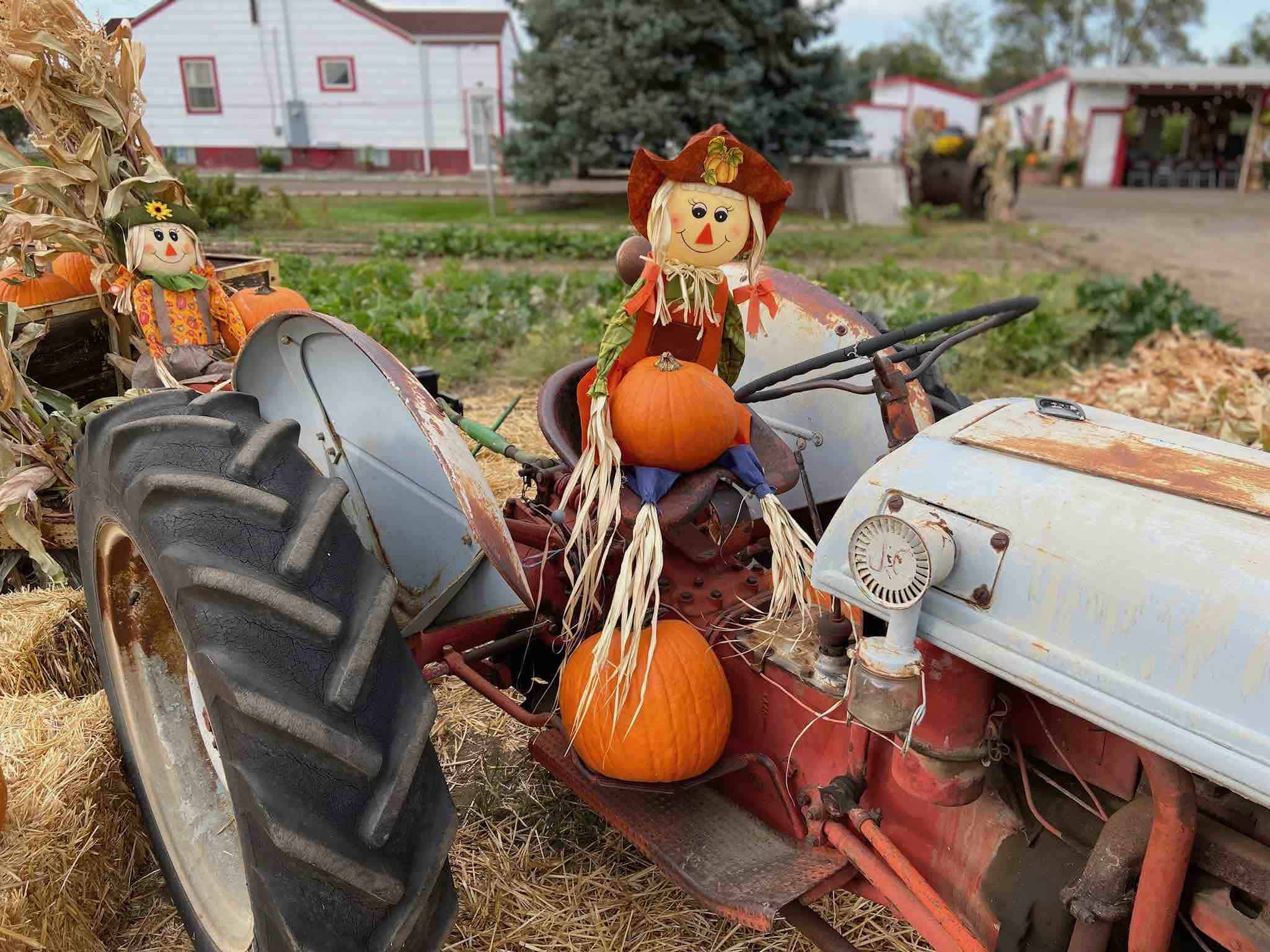 Spano Greenhouse & Farm